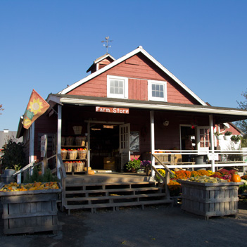 Farm Store - The Woods at East Windsor